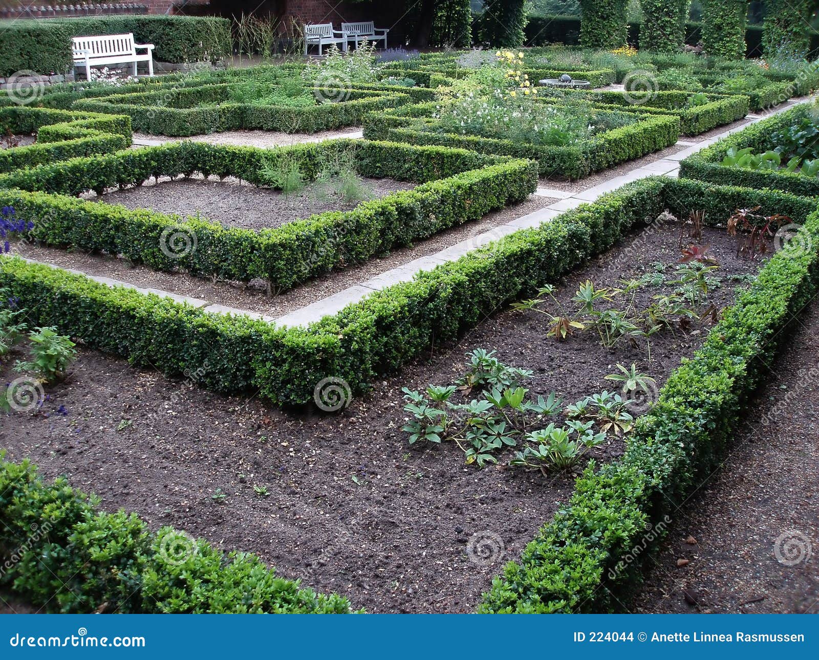 Pathway In A Monastery Garden Royalty-Free Stock Image | CartoonDealer ...