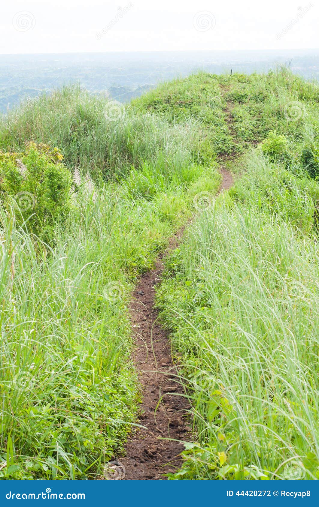 Pathway on Mount Batulao, Philippines Stock Photo - Image of friendship ...
