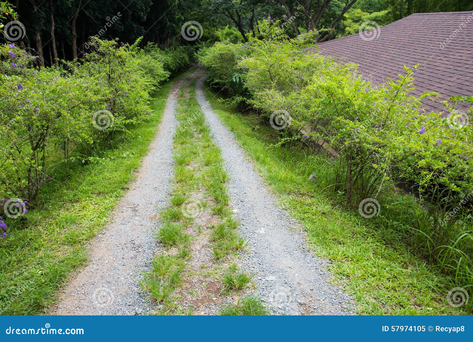 Pathway on Mount Batulao, Philippines Stock Image - Image of scenic ...