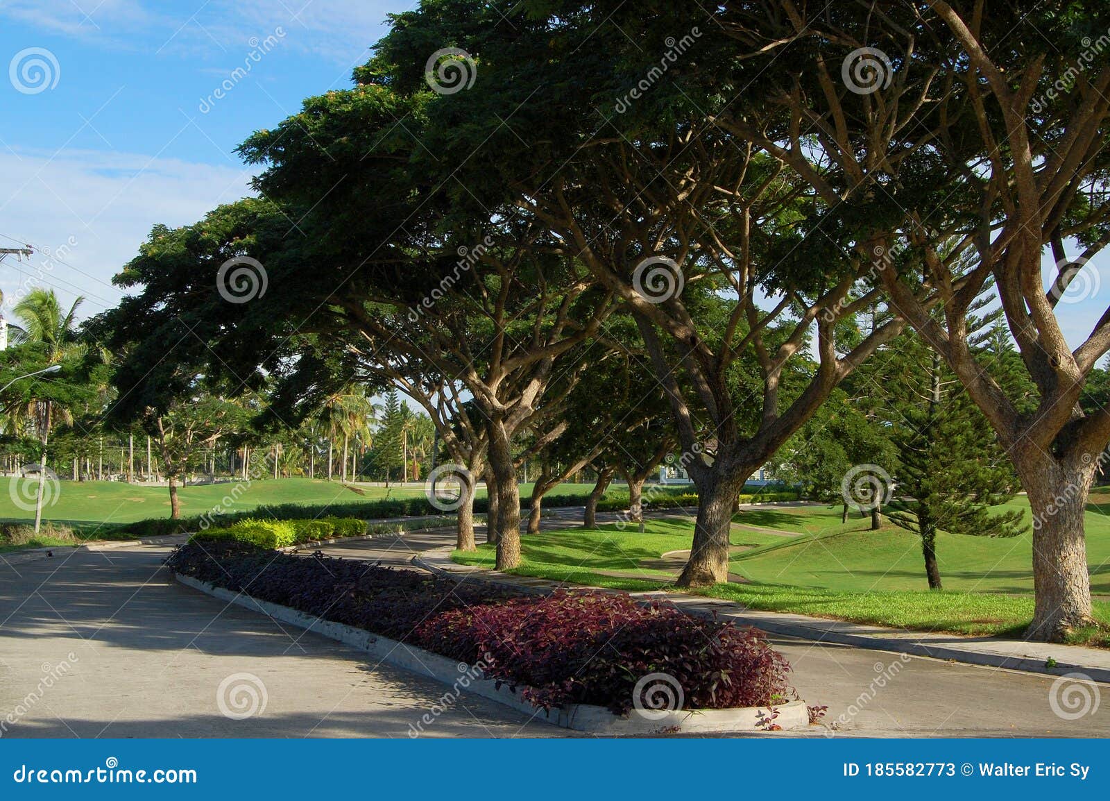 Pathway at Mount Malarayat in Lipa, Batangas, Philippines Editorial ...