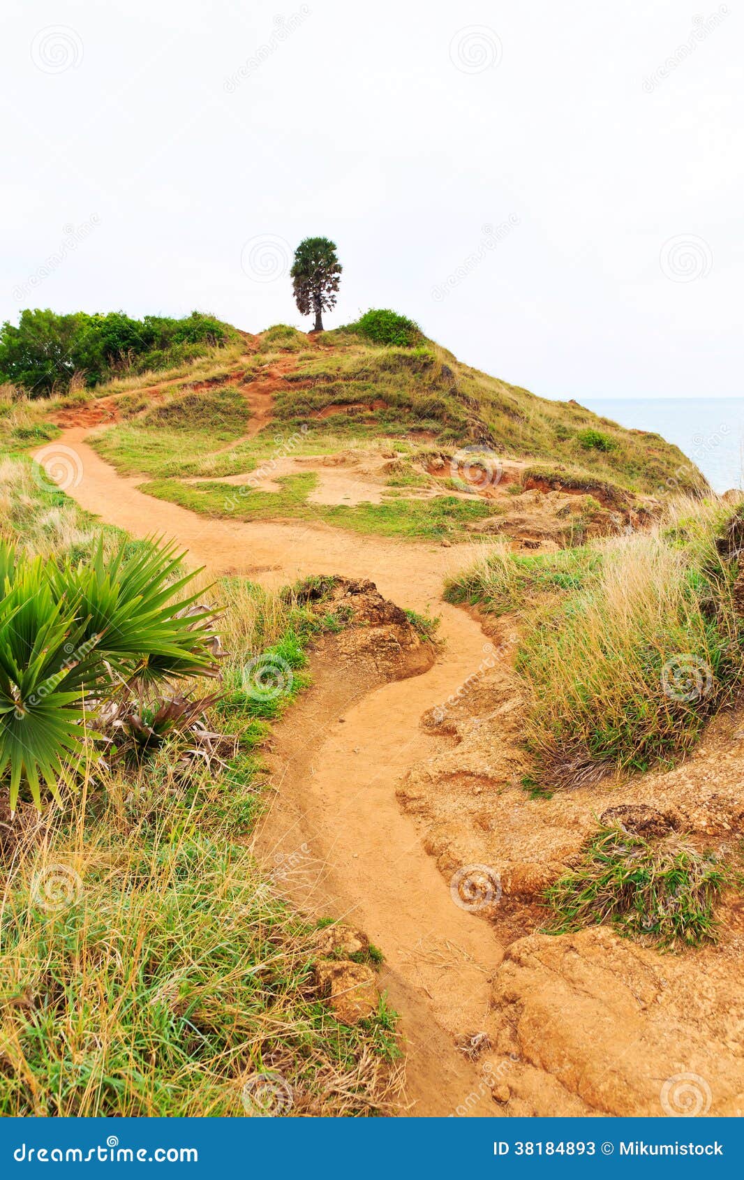 Pathway in mountain stock image. Image of beautiful, alpine - 38184893