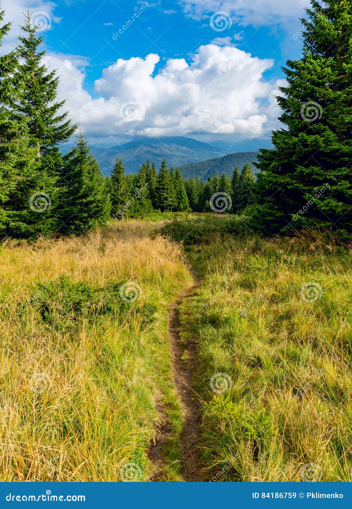 Pathway on mountain meadow stock image. Image of outdoor - 84186759