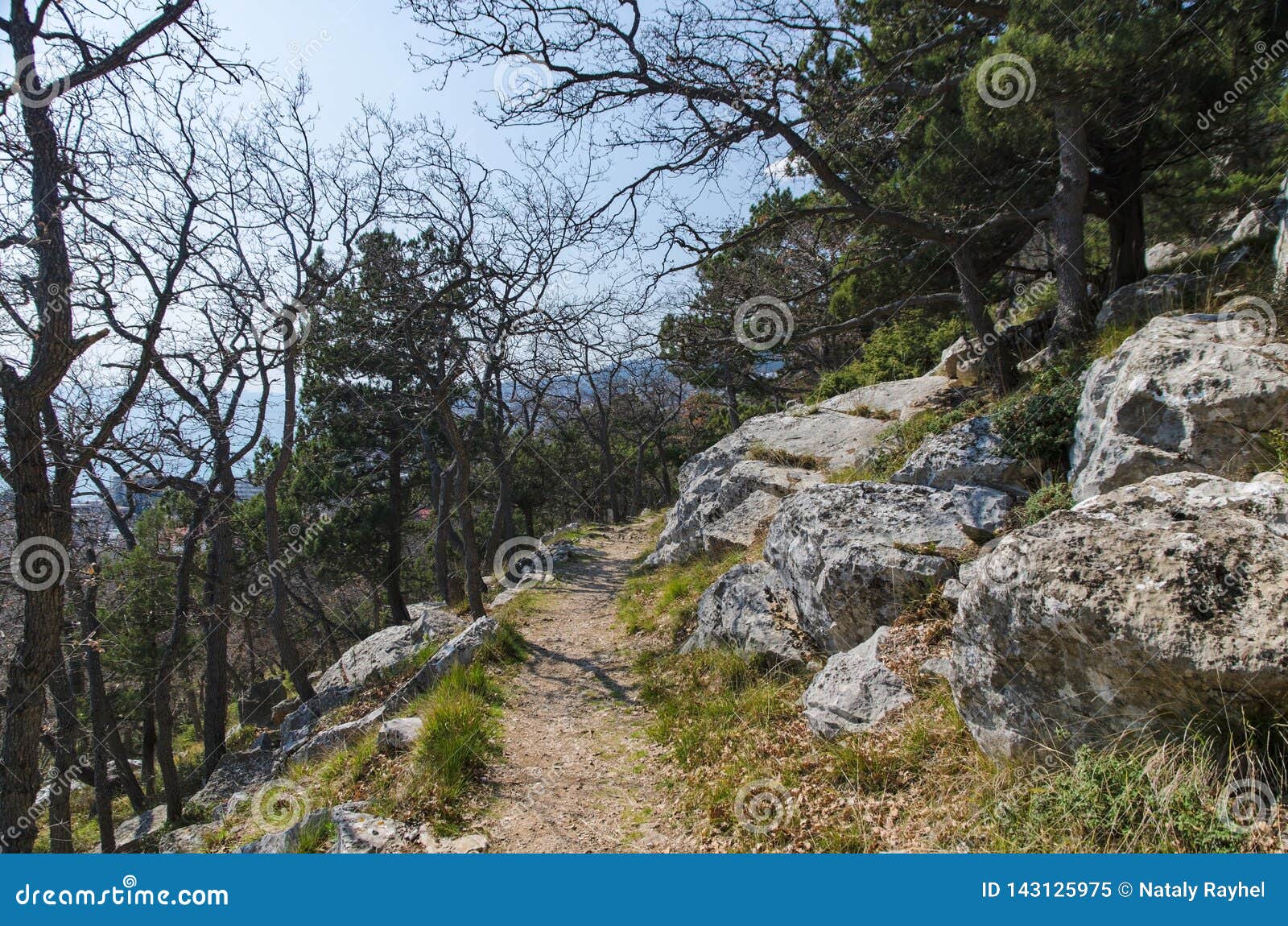 Pathway in mountain stock image. Image of stone, spring - 143125975