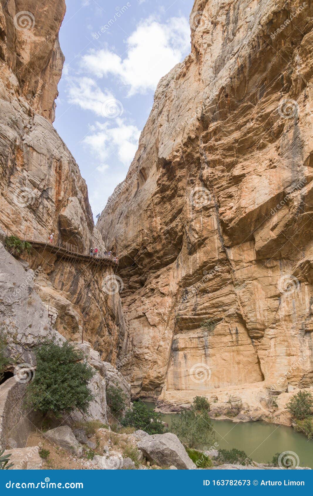 Pathway Through Scary Woods Royalty-Free Stock Photo | CartoonDealer ...
