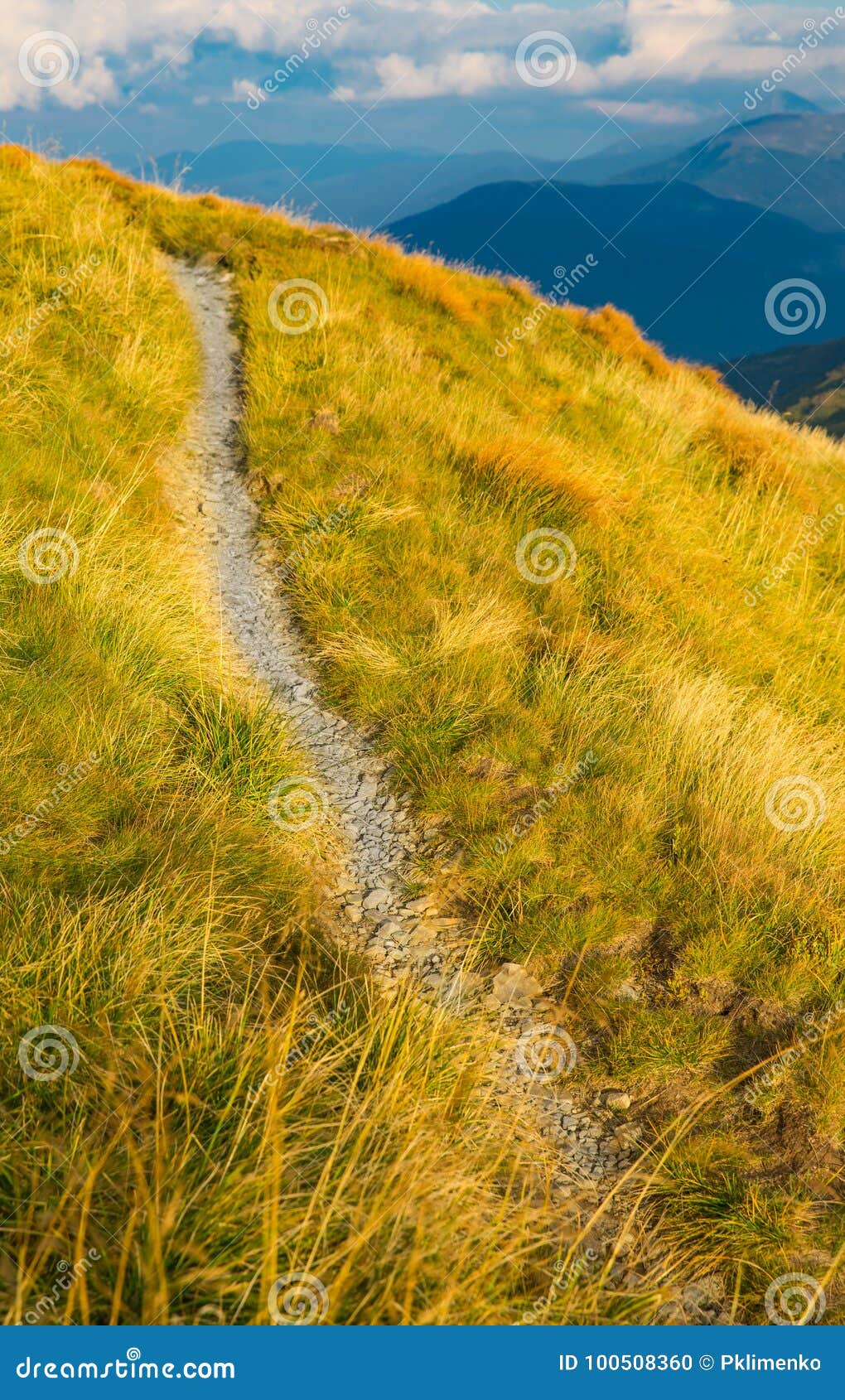Pathway in mountains stock photo. Image of grass, life - 100508360