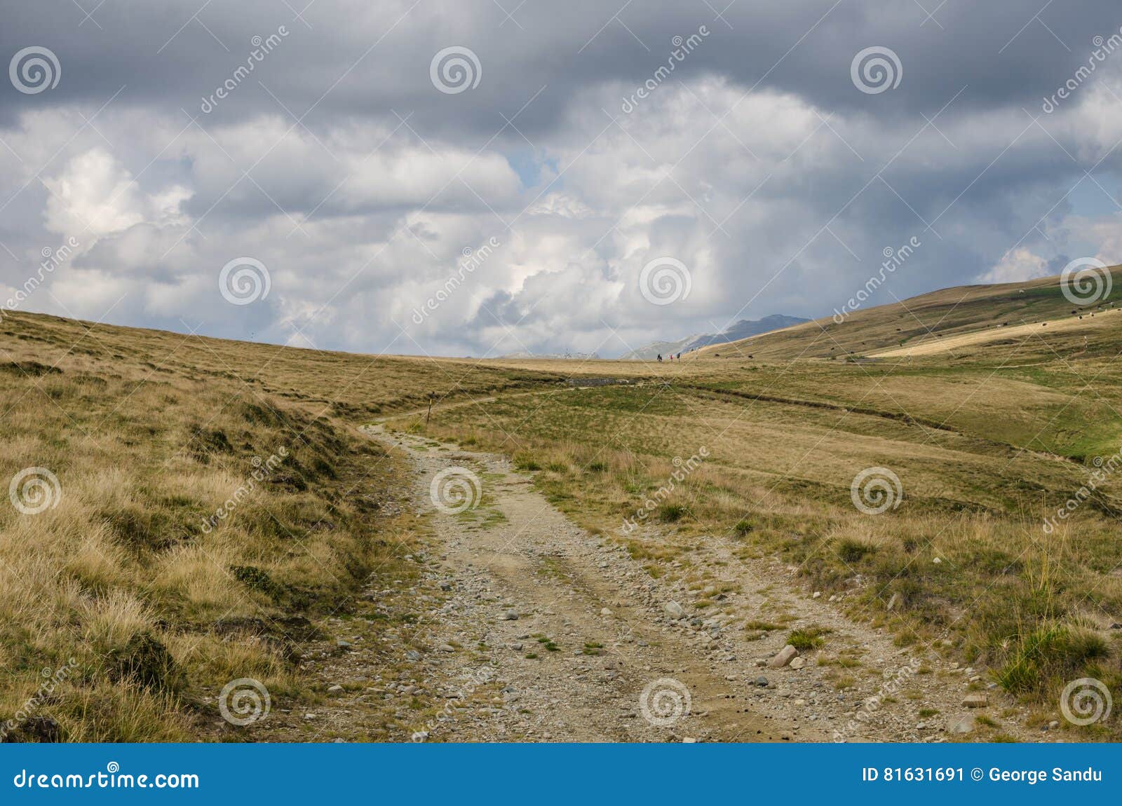 Pathway through the Mountains Stock Image - Image of grass, walkway ...