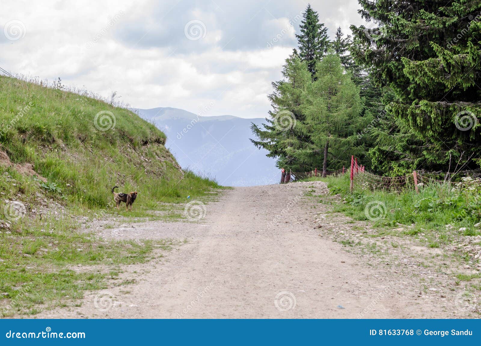 Pathway through the Mountains Stock Photo - Image of fields, season ...