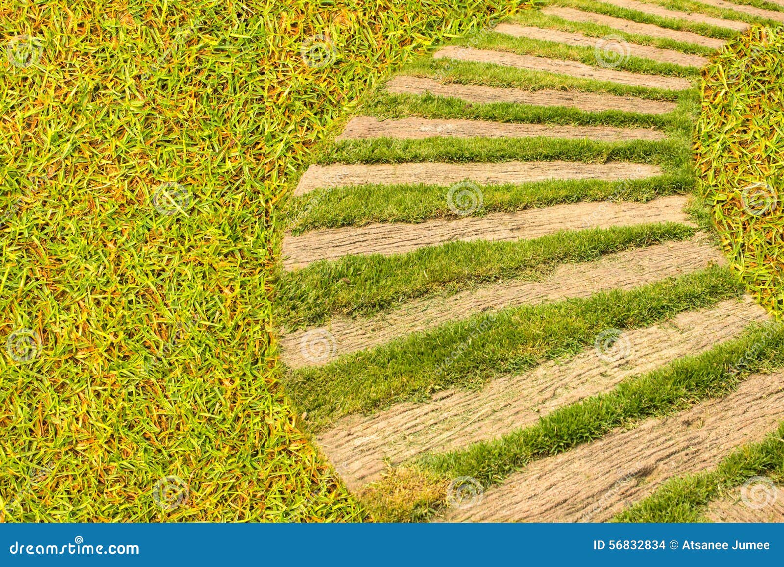 Grassthe View Stock Photos - Free & Royalty-Free Stock Photos from ...