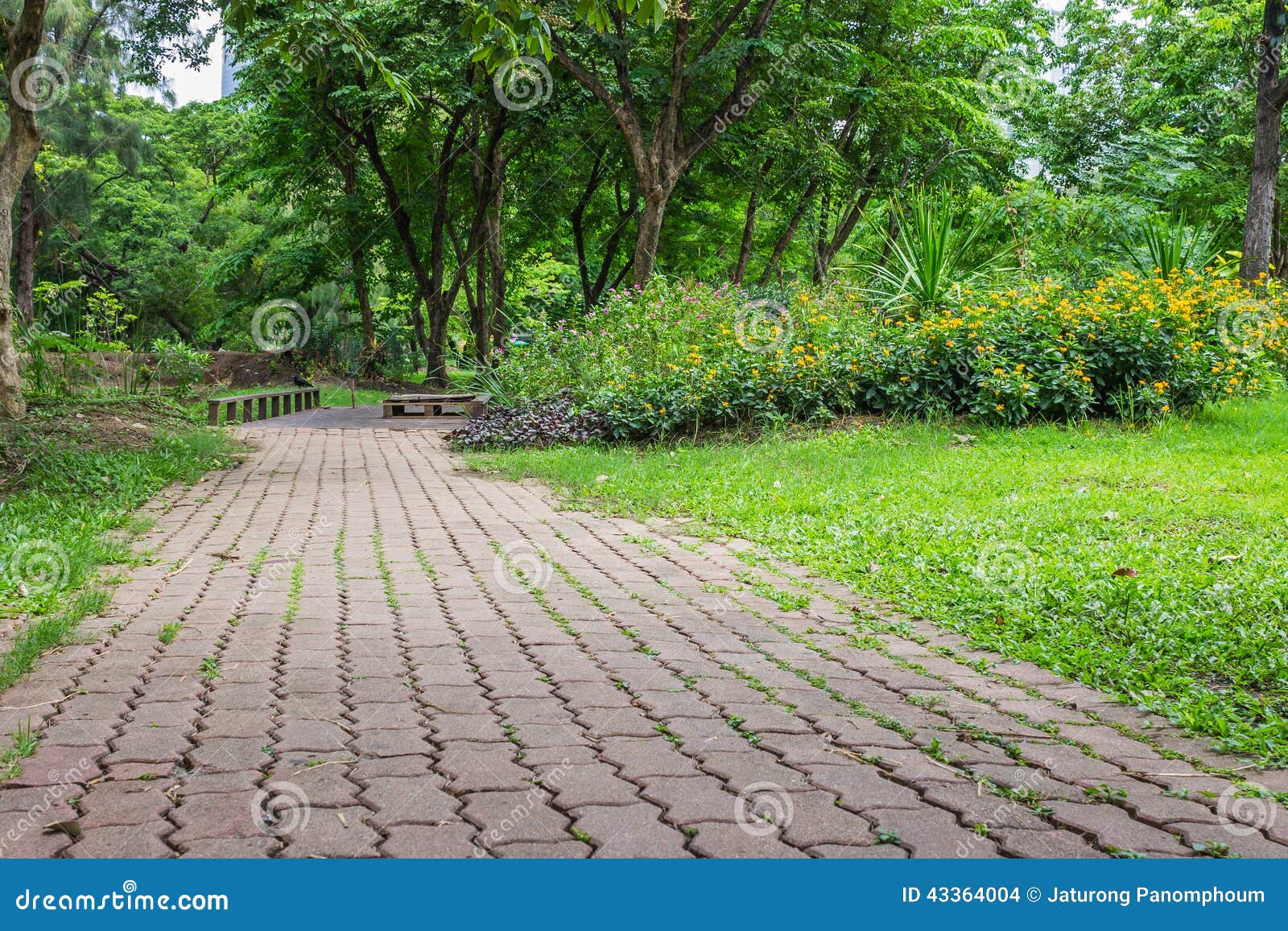 Pathway in nature stock photo. Image of outside, brick - 43364004