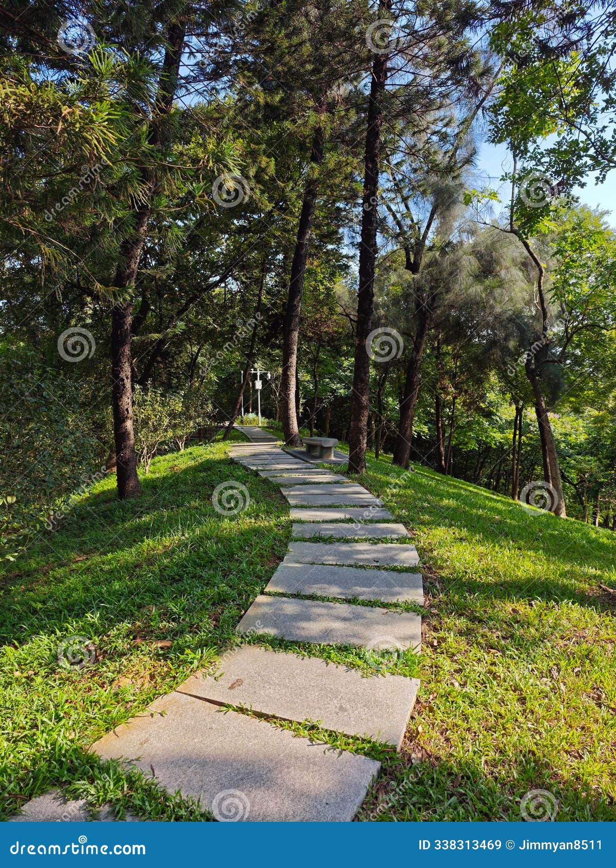 Pathway in Nature in Guangzhou China Stock Image - Image of forest ...