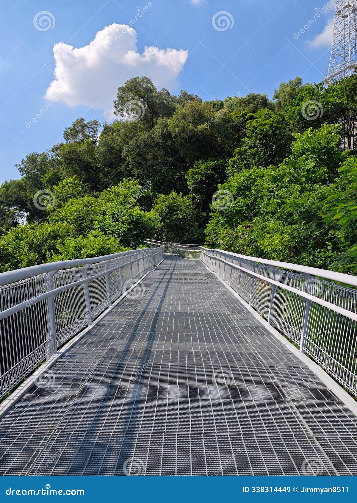 Pathway in Nature in Guangzhou China Stock Image - Image of people ...