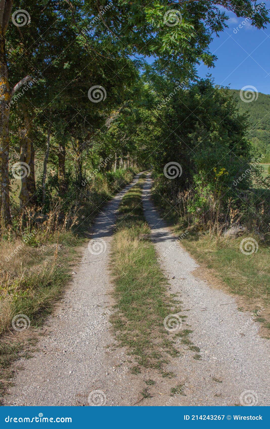 A pathway in a villa stock image. Image of rural, countryside - 214243267
