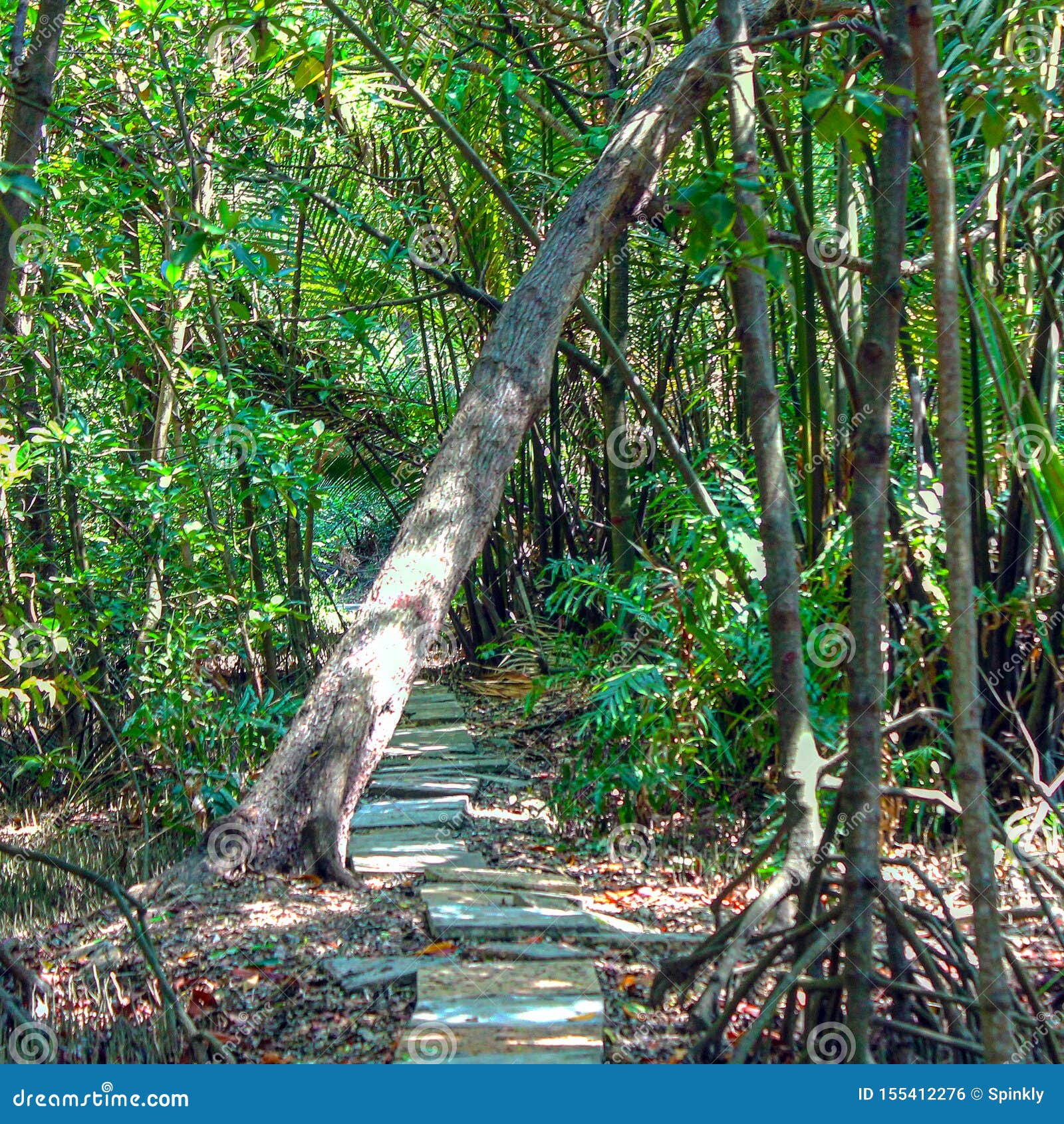 Pathway Through And With Nature Royalty-Free Stock Image ...