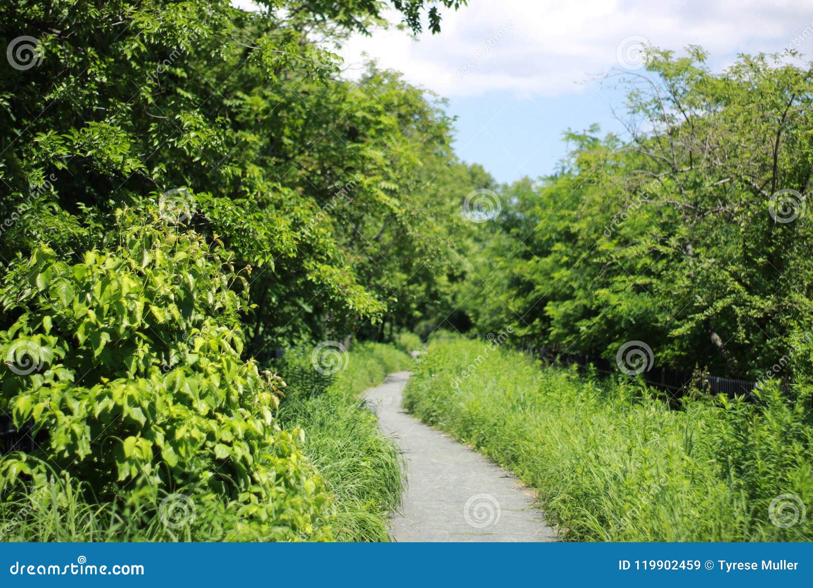 Pathway stock image. Image of outdoors, path, natures - 119902459