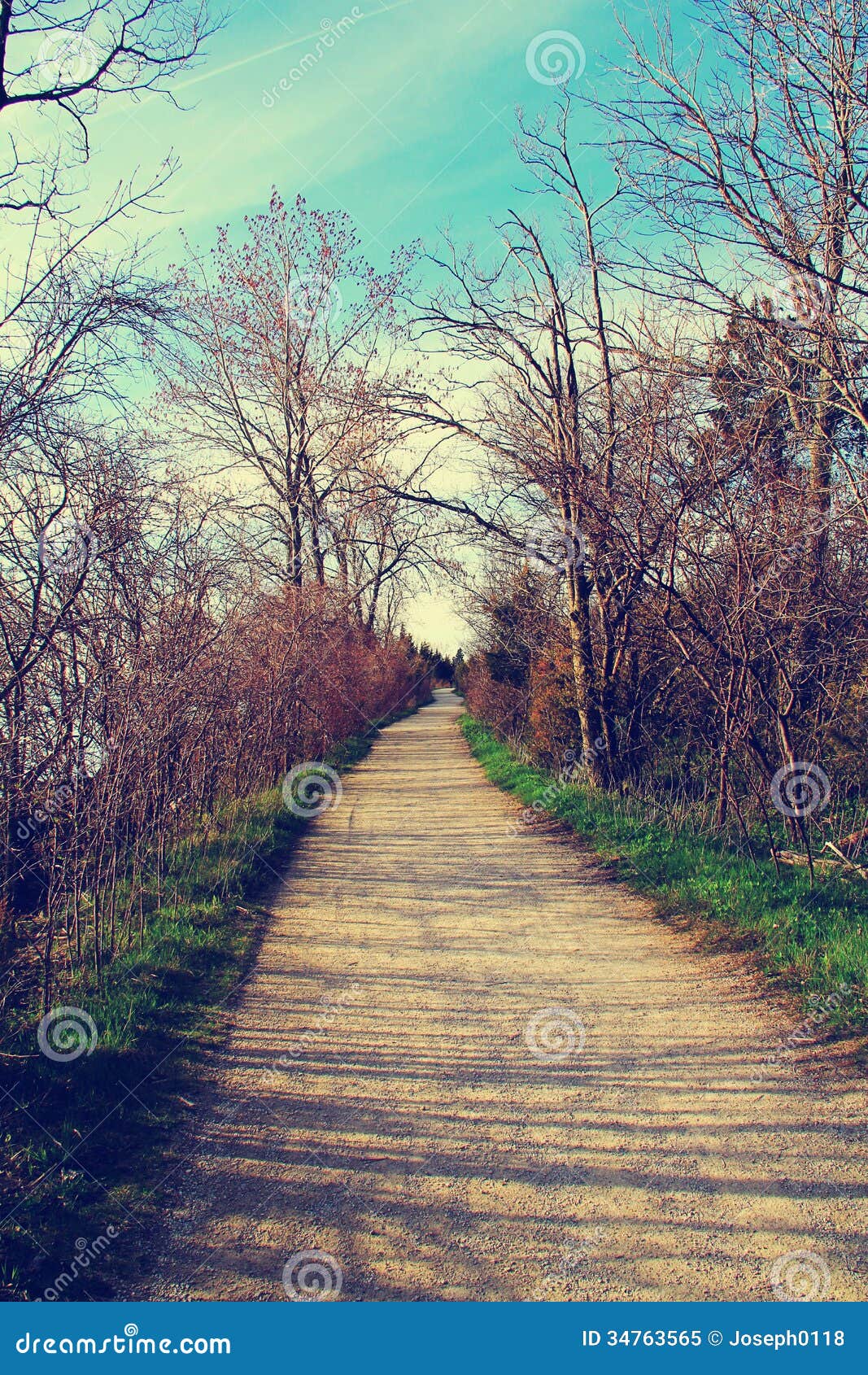 A PATHWAY NEAR LAKE SHORE stock image. Image of forest - 34763565
