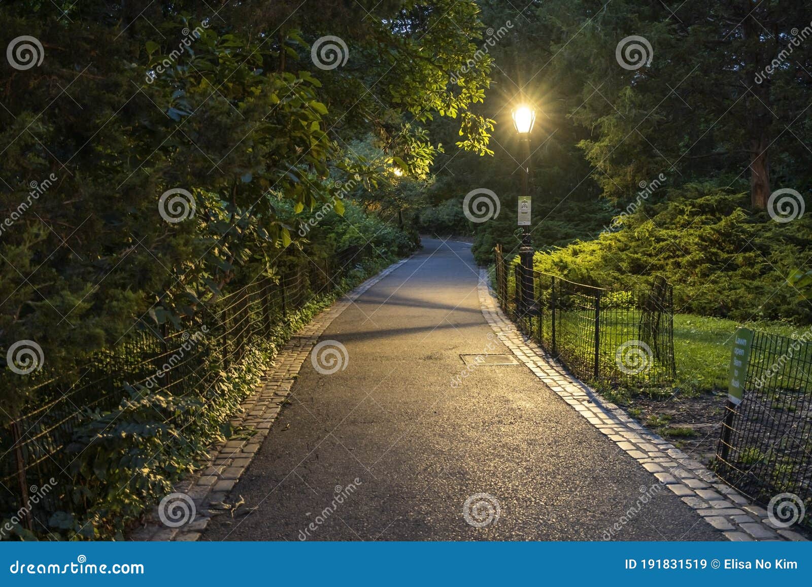 A pathway at night stock image. Image of pathway, trees - 191831519