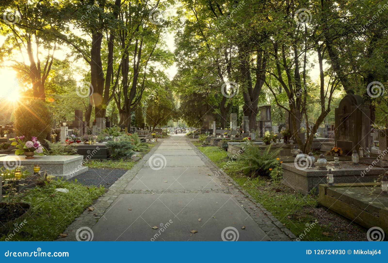 Pathway on old cemetery stock photo. Image of candle - 126724930