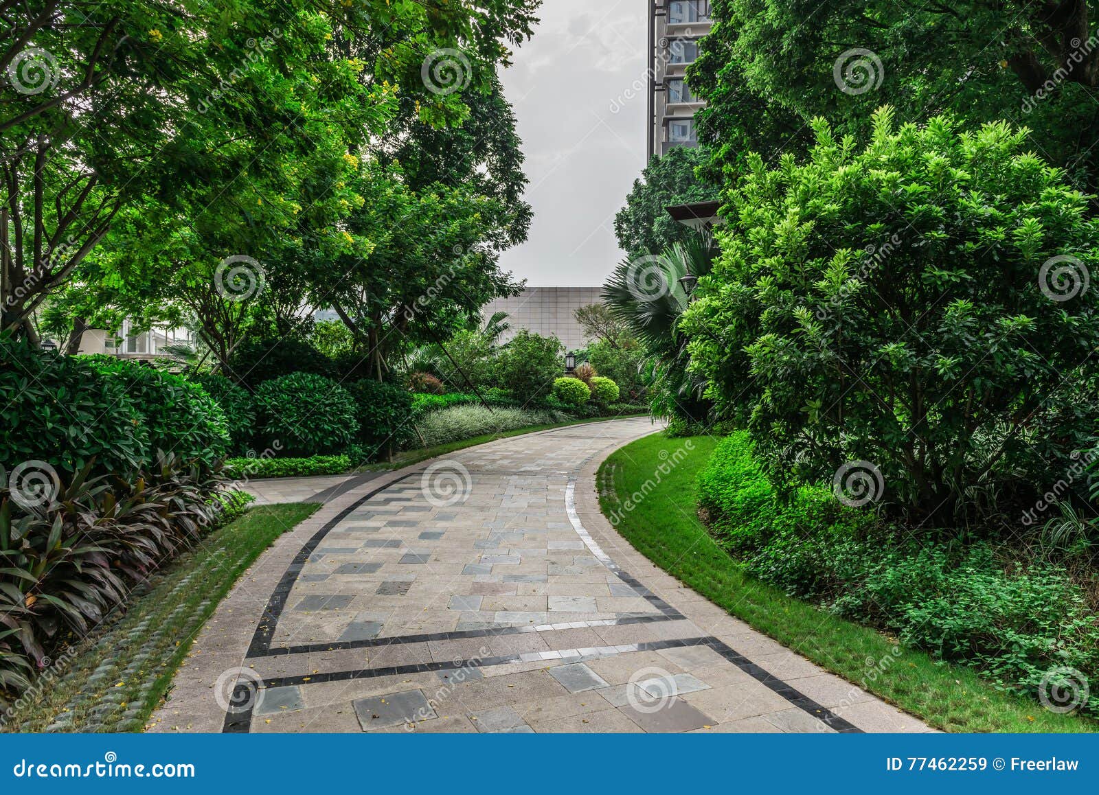Pathway in outdoor stock image. Image of direction, grass - 77462259