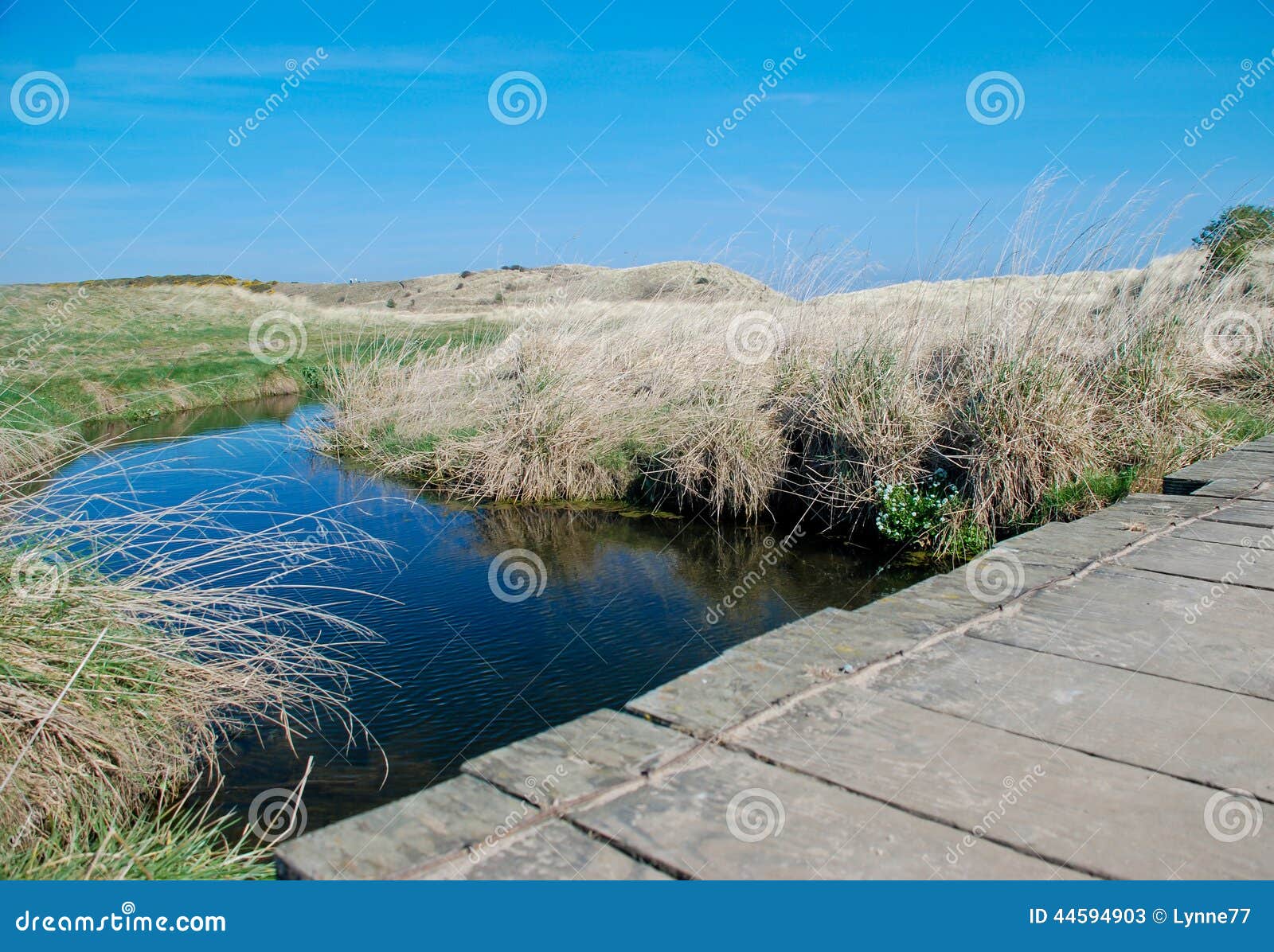 Pathway over a blue river stock image. Image of quick - 44594903