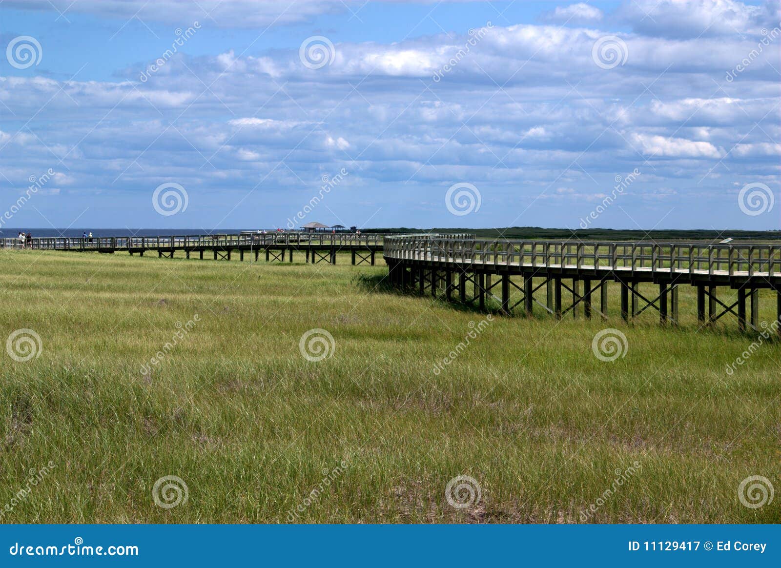 Pathway over the marsh stock image. Image of bouctouche - 11129417