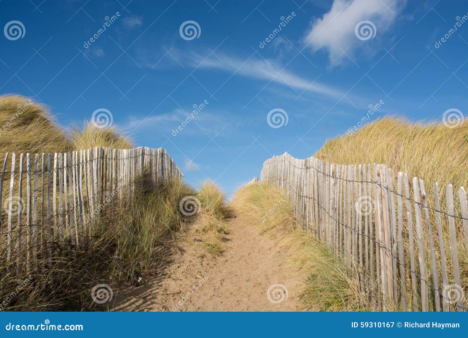 Pathway over sand dunes stock image. Image of path, coast - 59310167