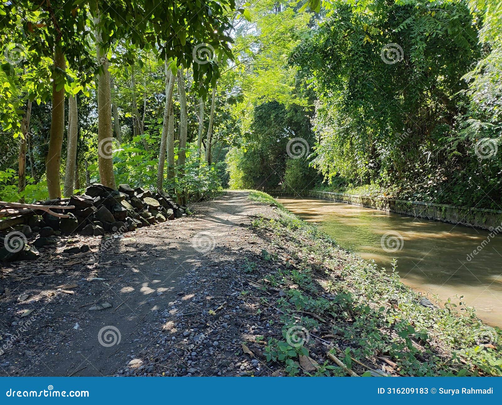 A Pathway Parallel To a Flowing River Stock Image - Image of path, cool ...