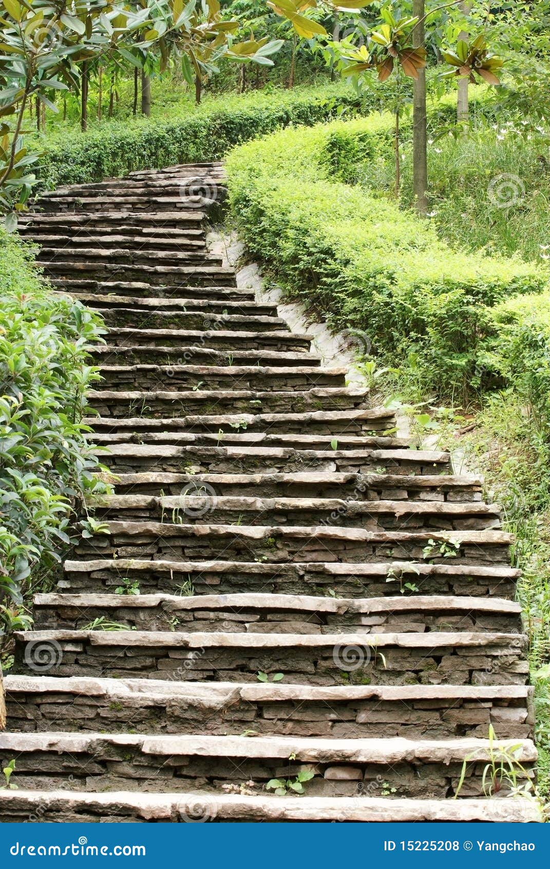 Pathway in park stock photo. Image of step, garden, alley - 15225208