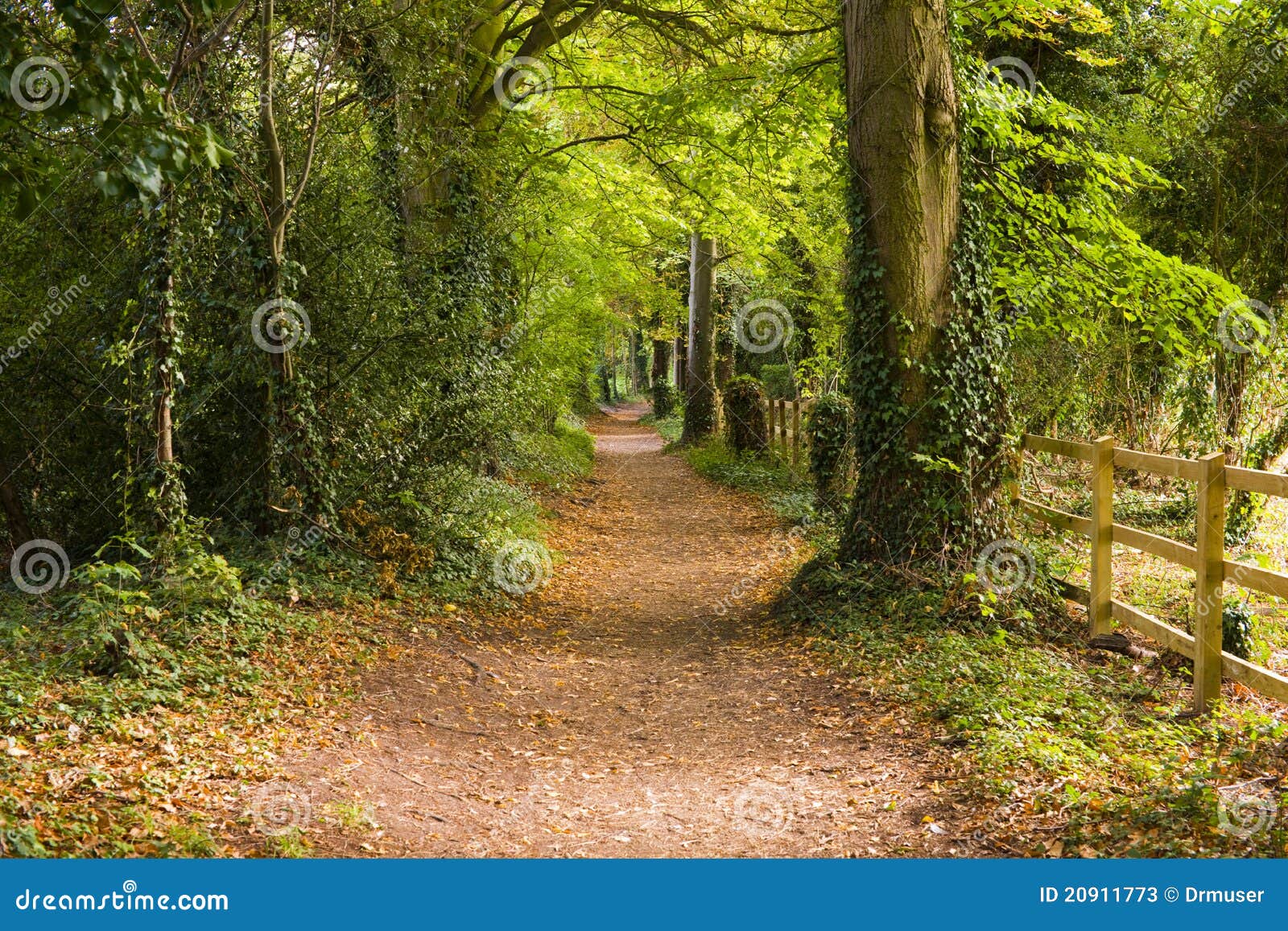 Pathway in Park stock image. Image of fence, green, park - 20911773