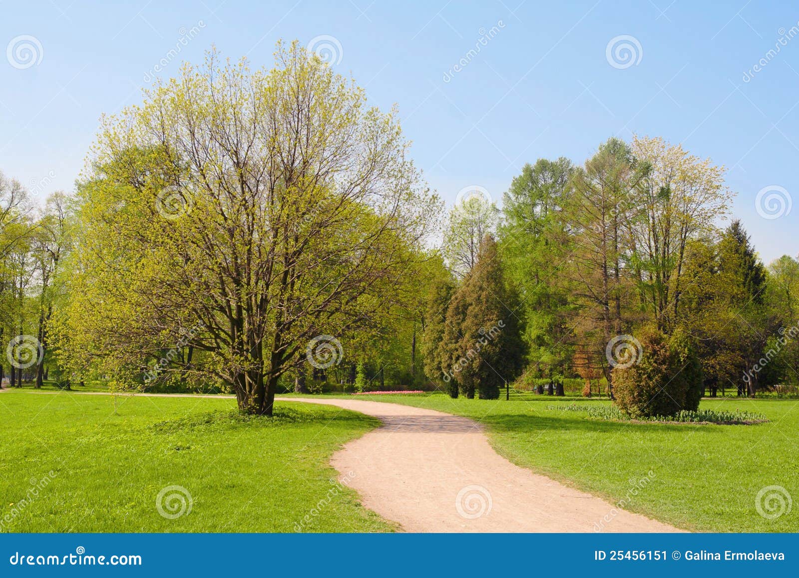 Pathway in the park stock image. Image of floral, leningrad - 25456151
