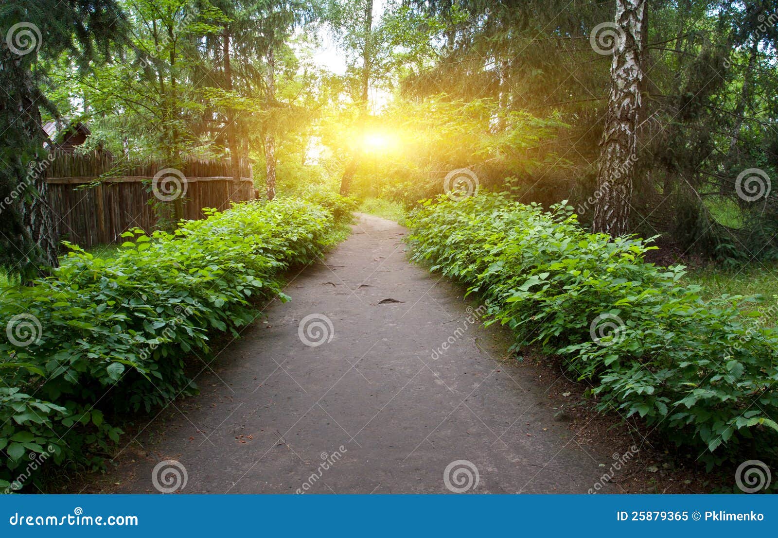 Pathway in park stock image. Image of nature, color, beauty - 25879365