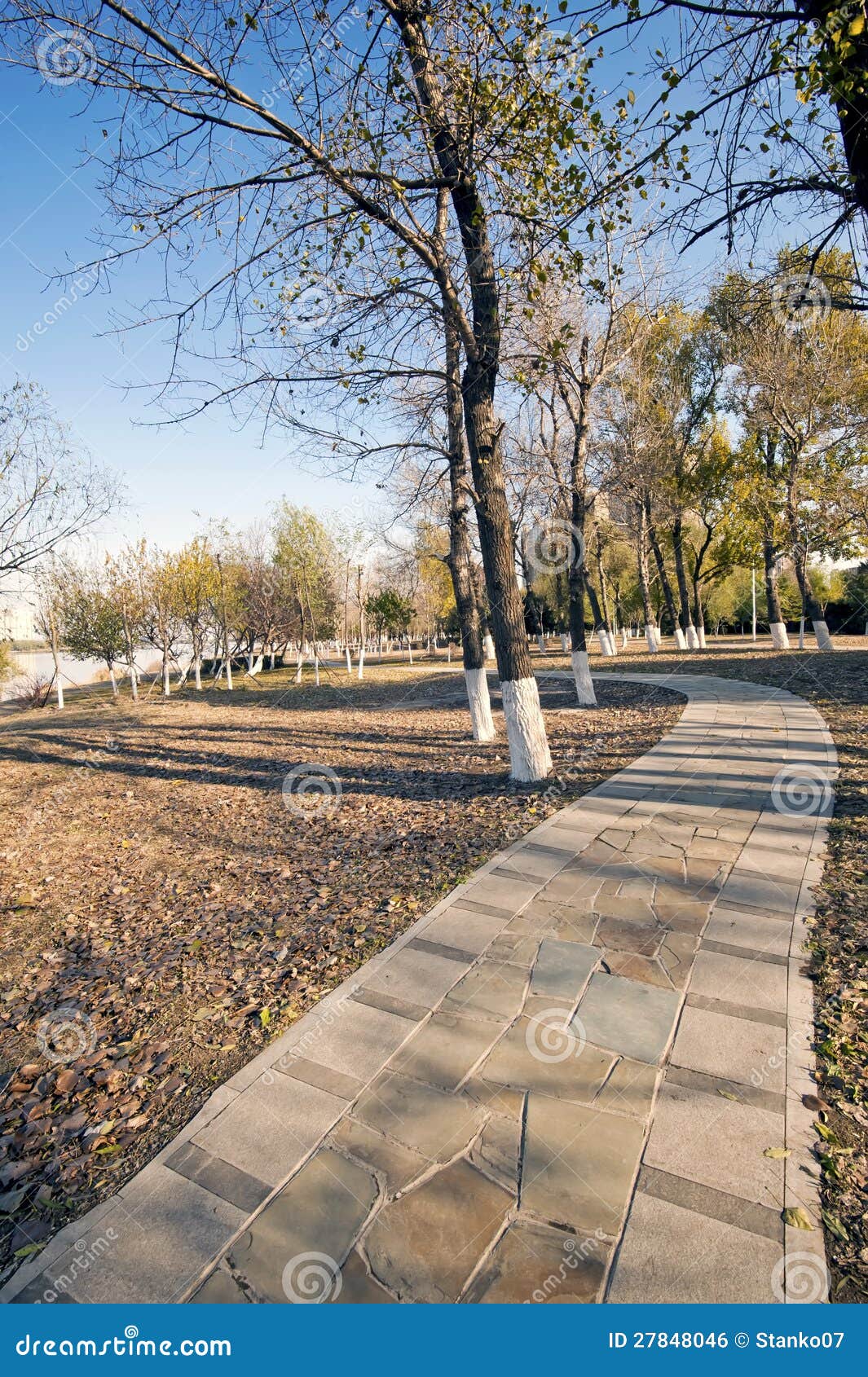 Pathway in park stock photo. Image of autumn, calm, leaves - 27848046