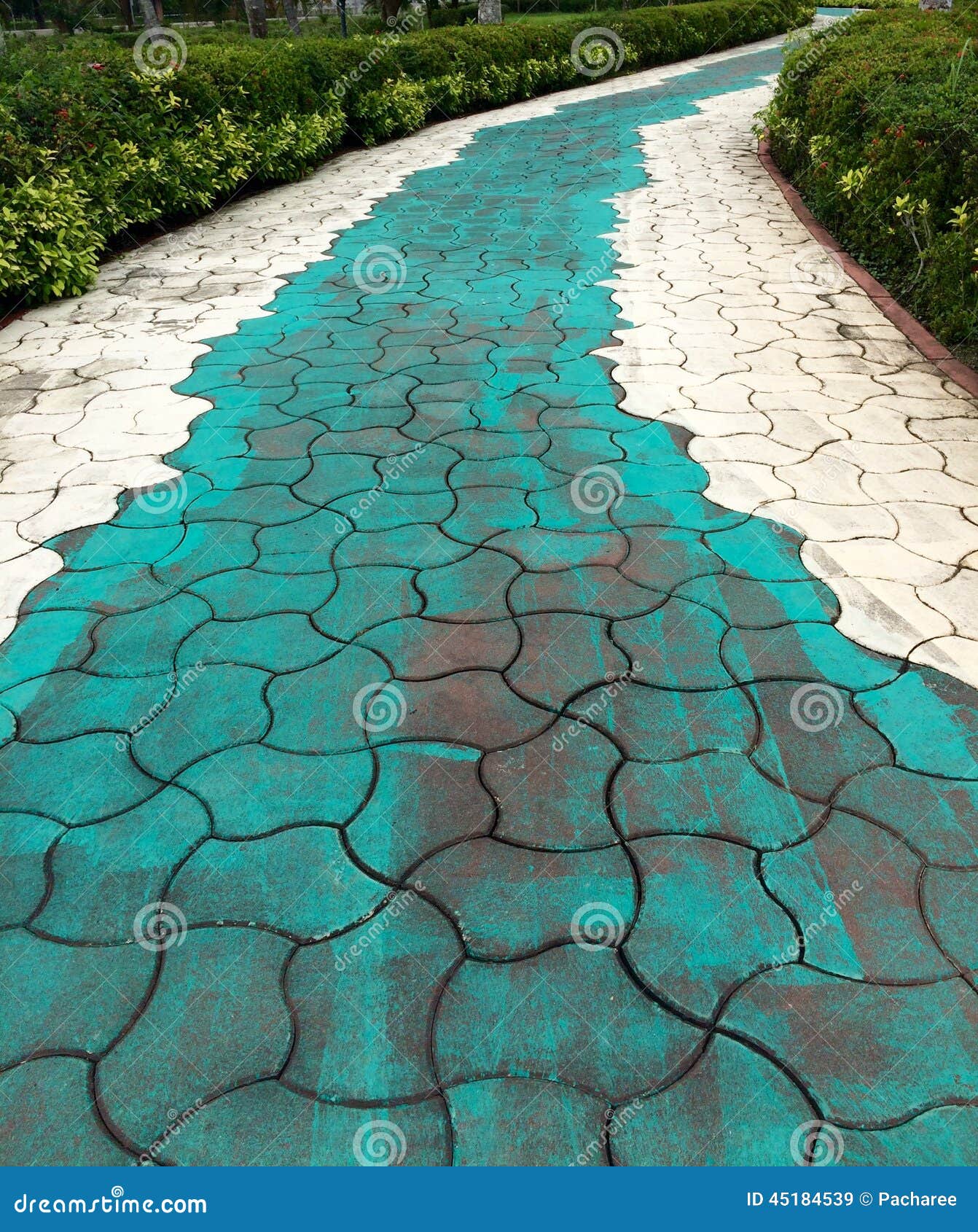 Pathway stock image. Image of park, pathway, walk, design - 45184539