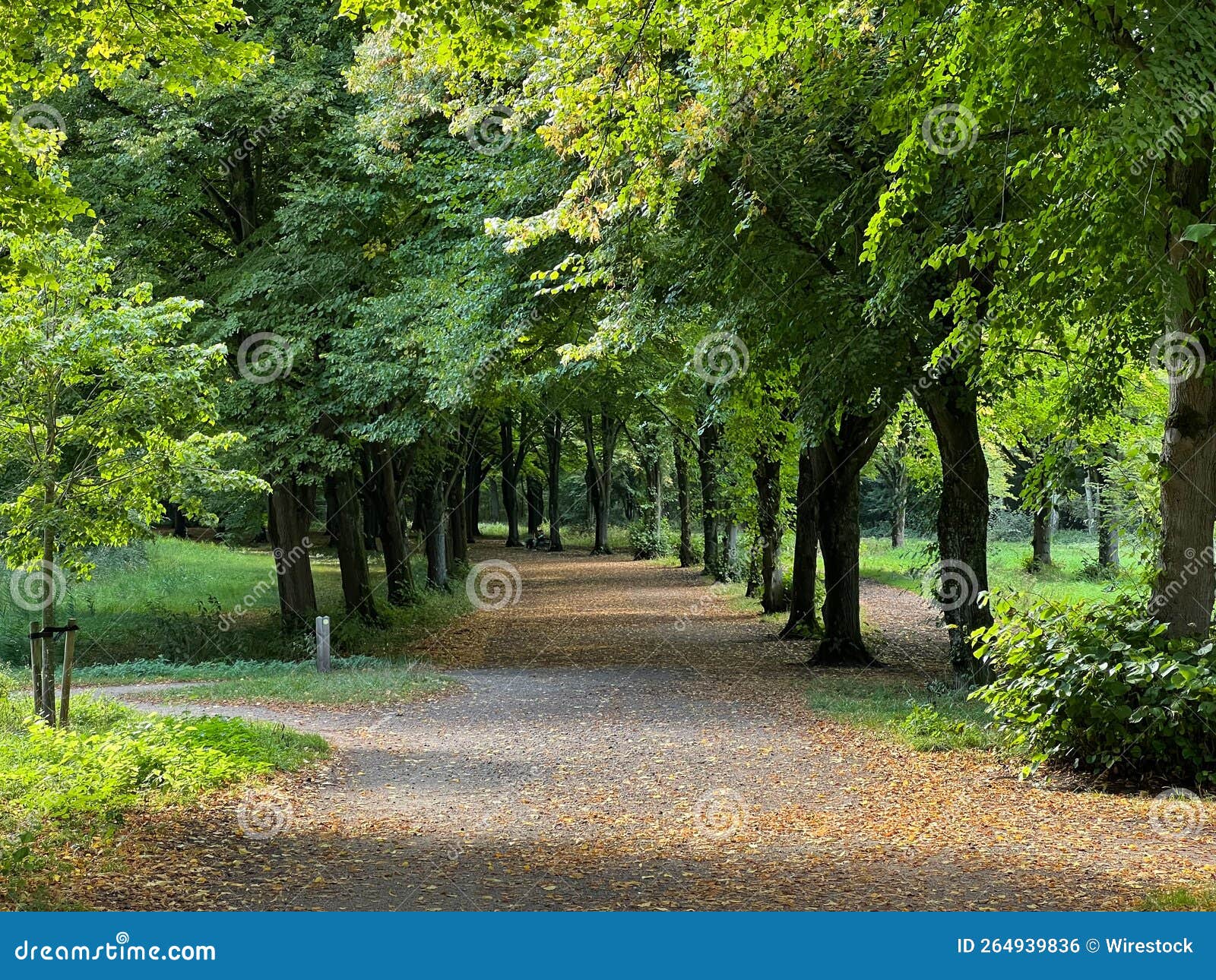 Pathway in a Park in Amsterdam, the Netherlands Stock Photo - Image of ...