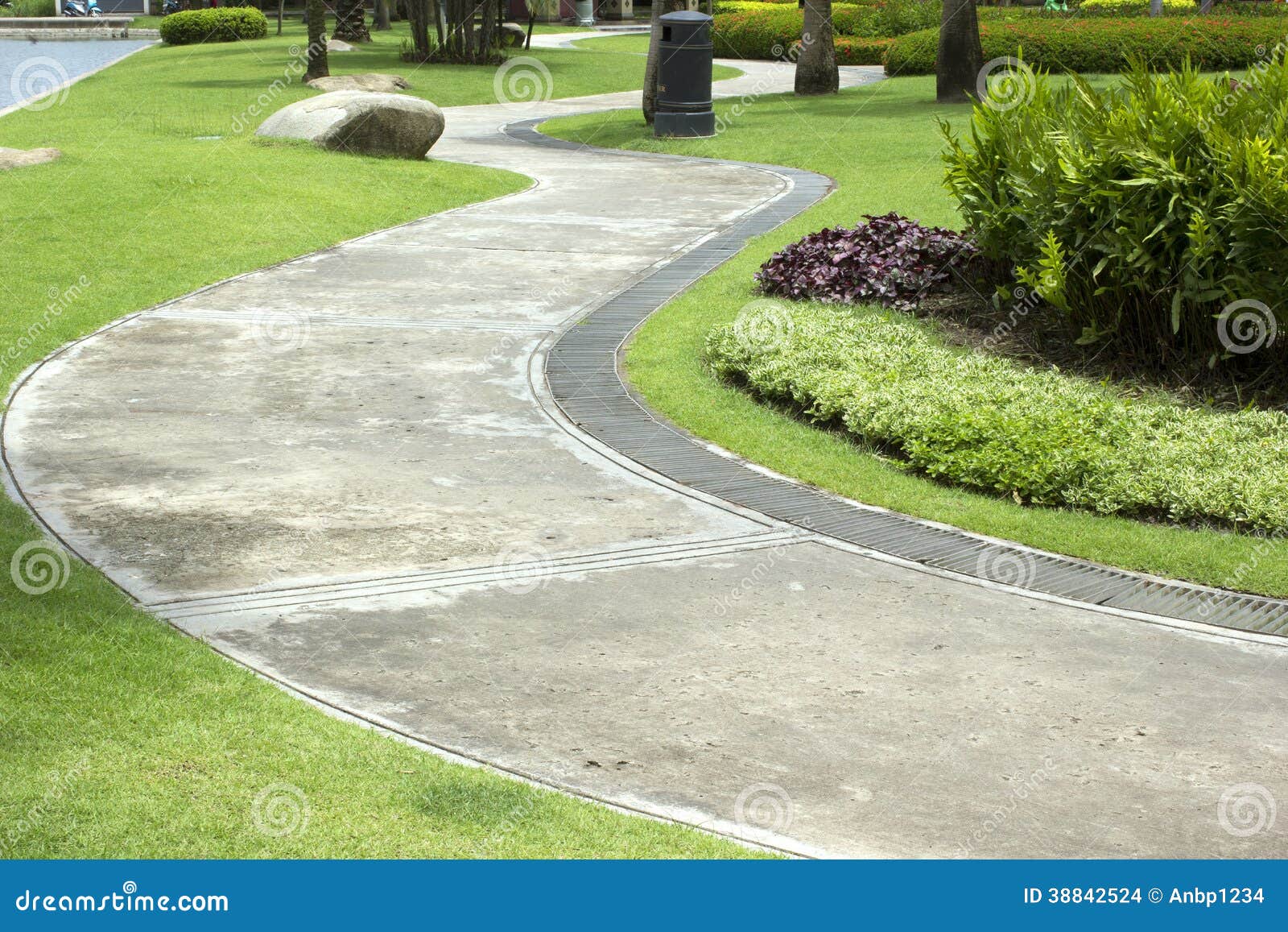 Pathway in the park. stock photo. Image of grass, path - 38842524