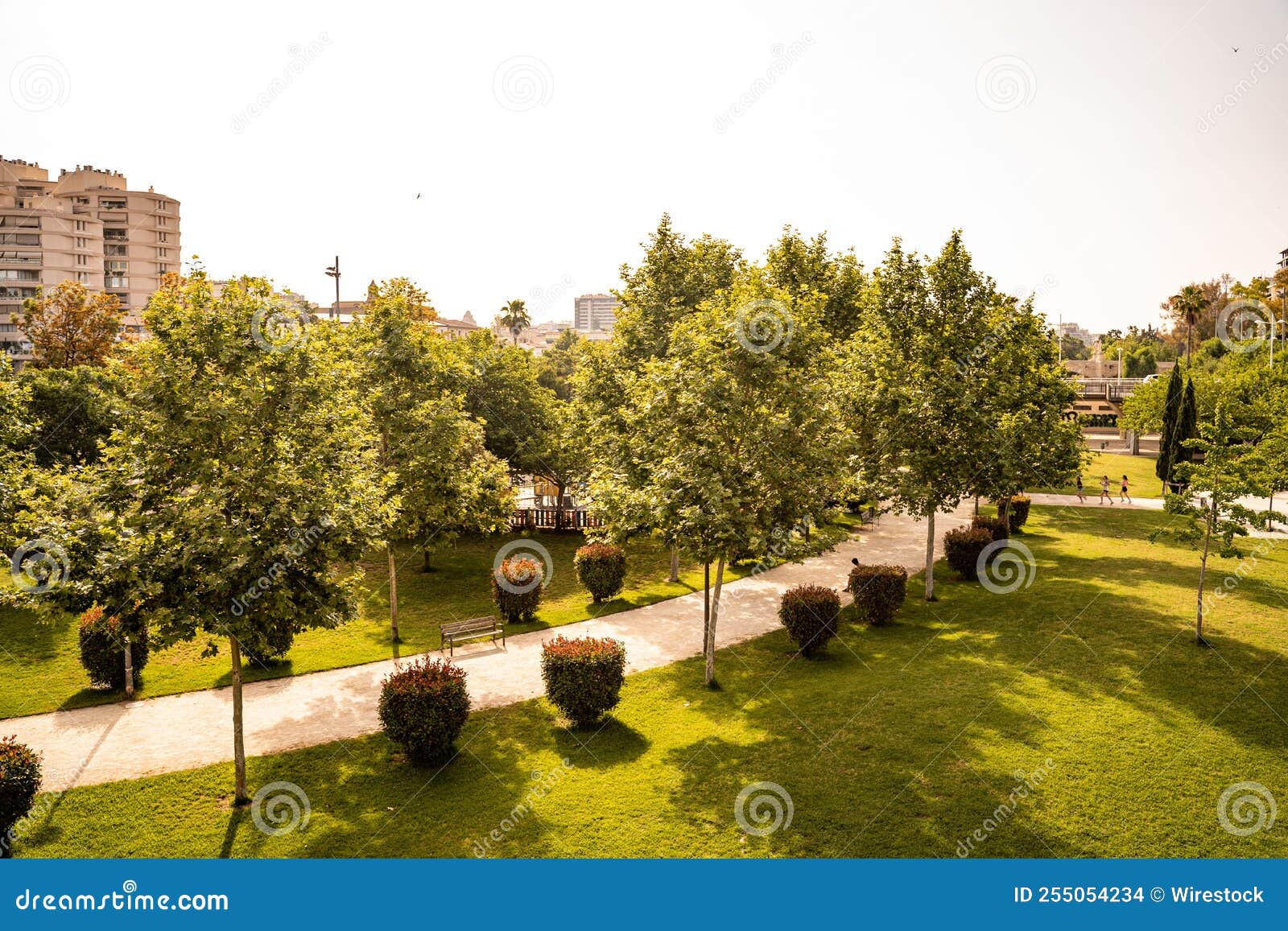 Pathway in a Park with Benches Passing Thgrough Trees Stock Photo ...