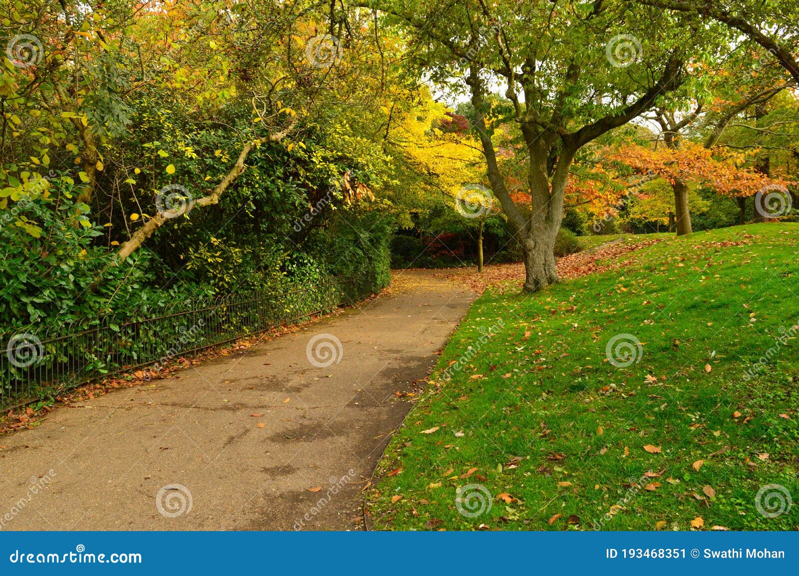 Pathway in a park stock image. Image of outdoor, leaves - 193468351