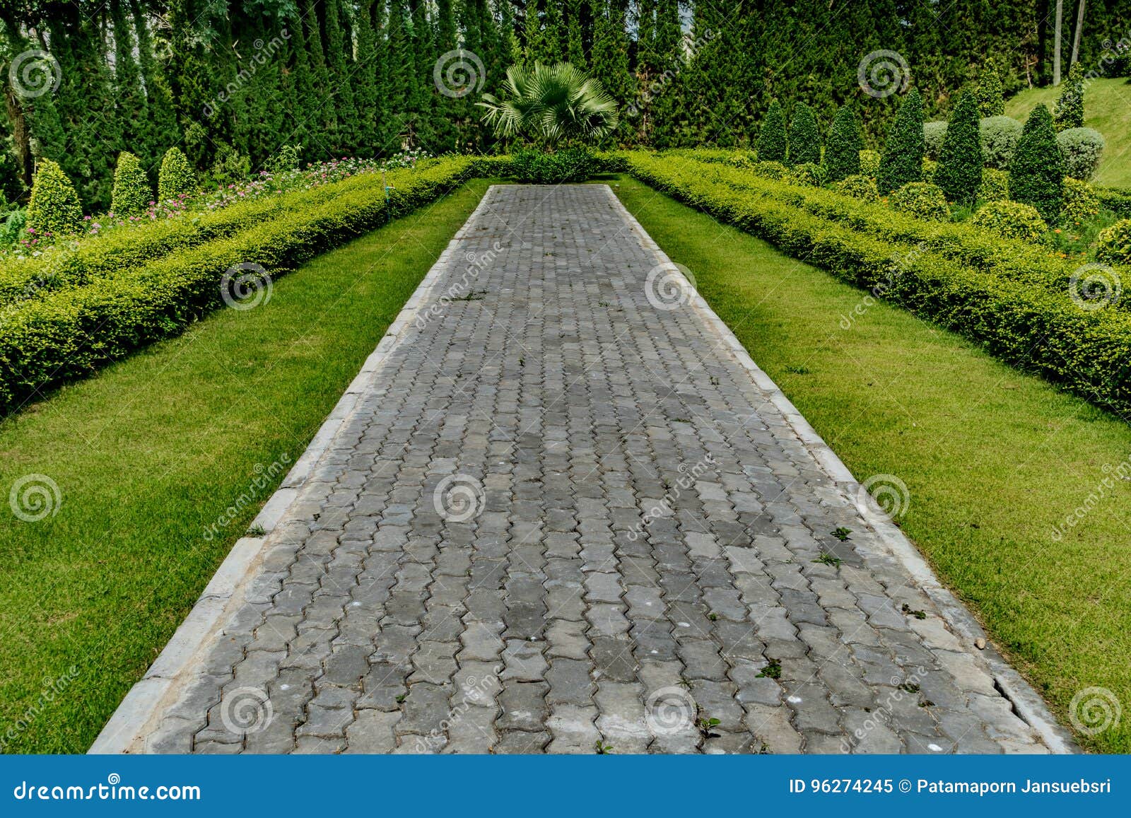 Pathway in park stock image. Image of walkway, pathway - 96274245