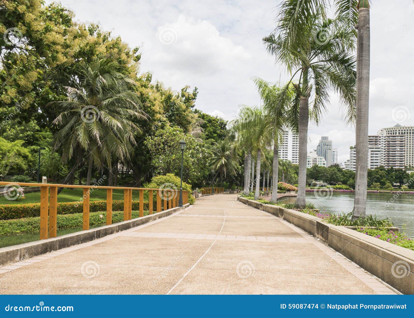Pathway in the park 2 stock photo. Image of land, curve - 59087474