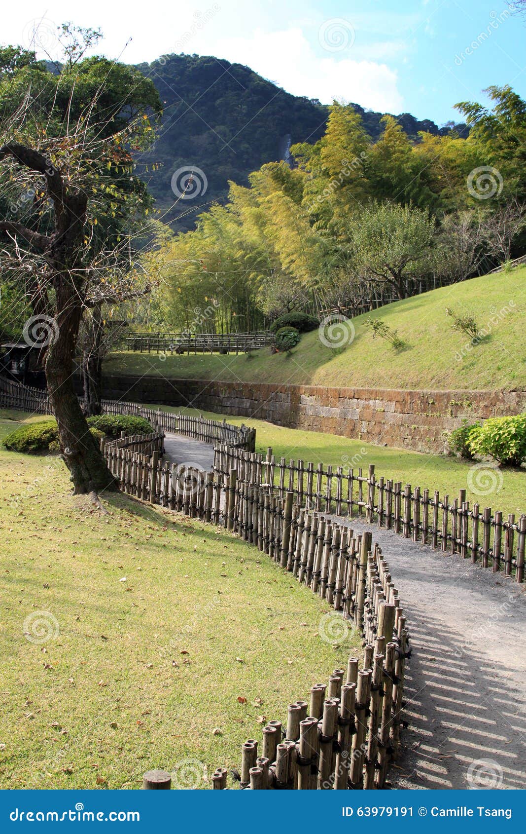 Pathway at Park stock image. Image of tree, path, meadow - 63979191
