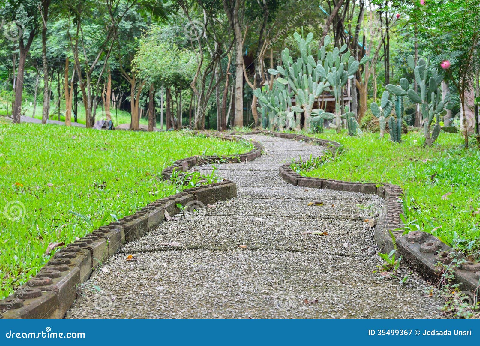Pathway in the park stock image. Image of nature, walkway - 35499367