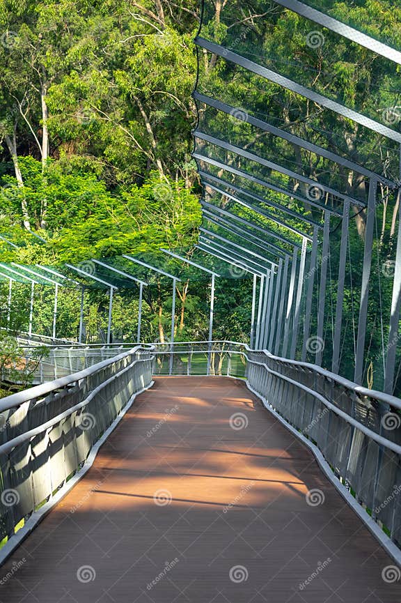 Pathway in Park in Guangzhou China Stock Image - Image of leaf, color ...