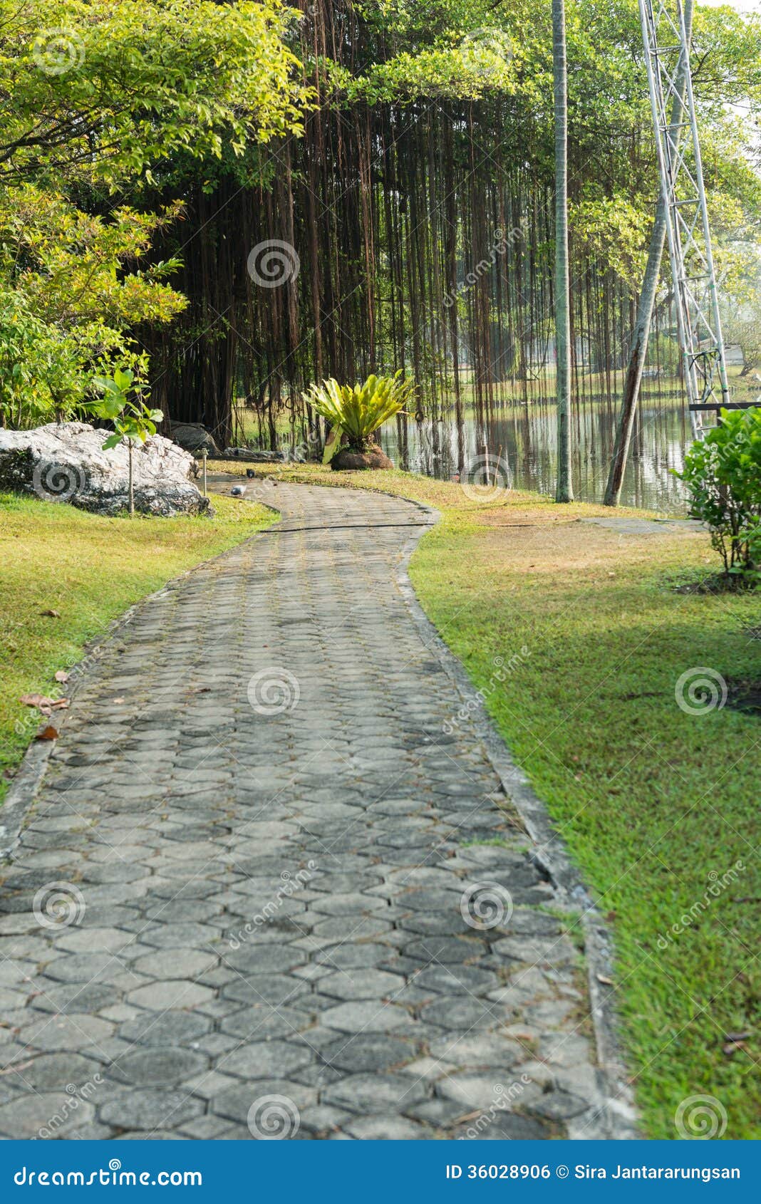 Pathway in the park stock photo. Image of plants, morning - 36028906