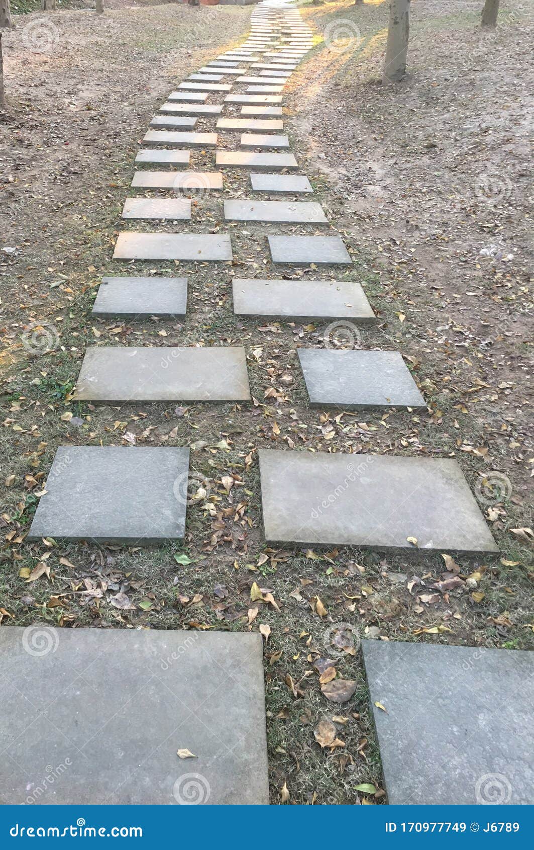 The Pathway of Park in the Morning Stock Image - Image of garden ...