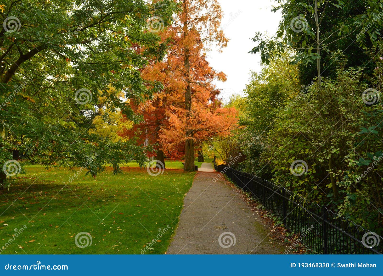 Pathway in a park stock photo. Image of natural, hill - 193468330