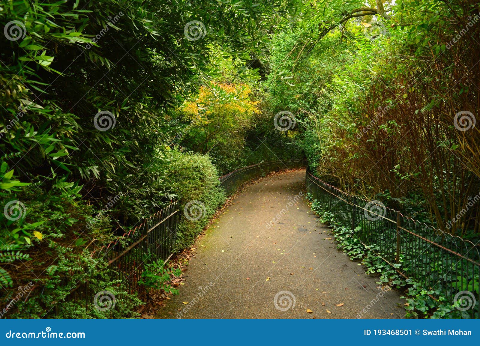 Pathway in a park stock image. Image of park, grass - 193468501