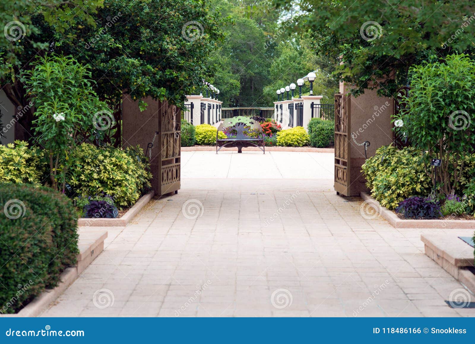 Pathway in park stock photo. Image of plant, distant - 118486166
