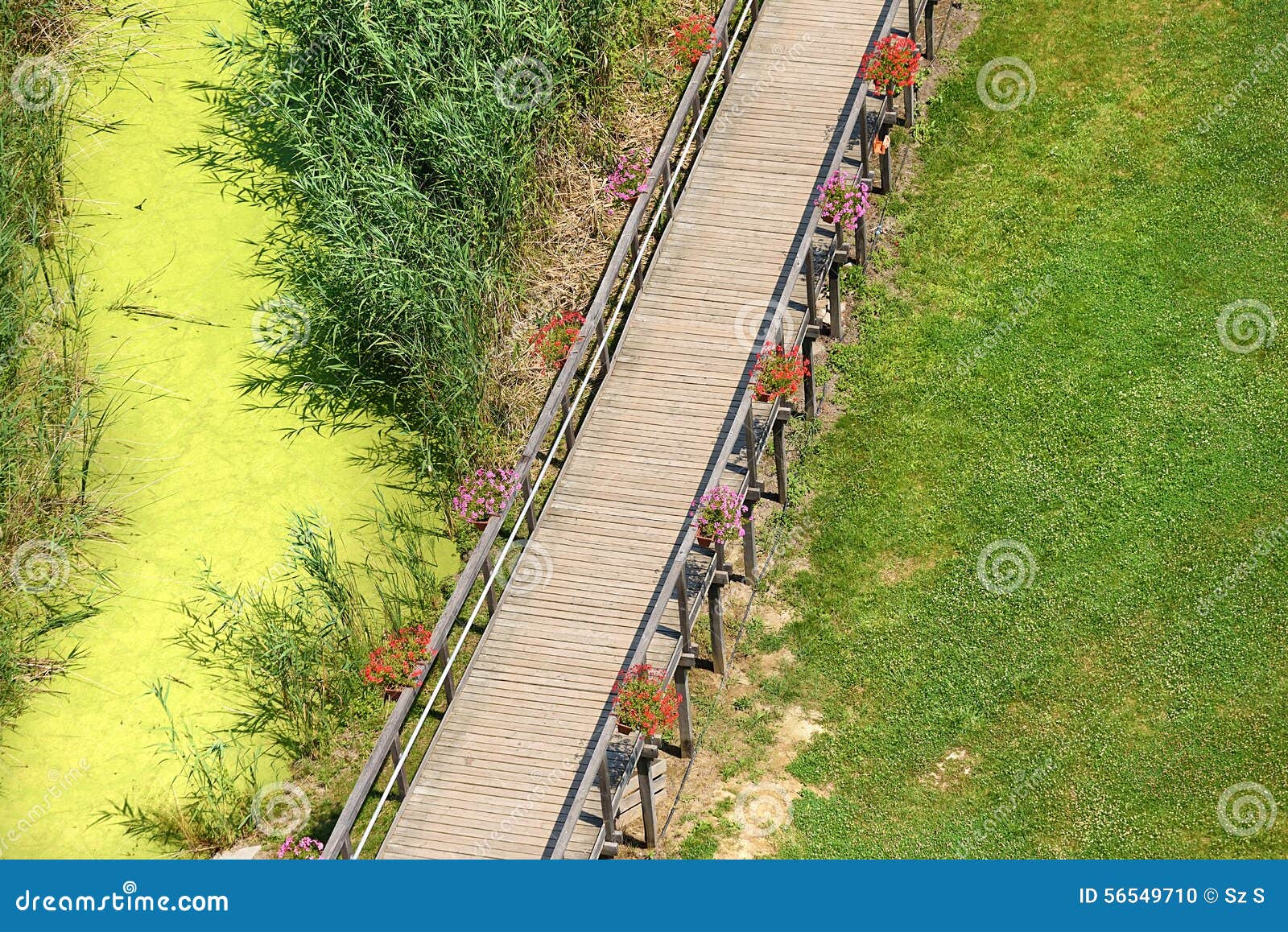 Pathway in the Park, Plan View Stock Photo - Image of grass, summer ...