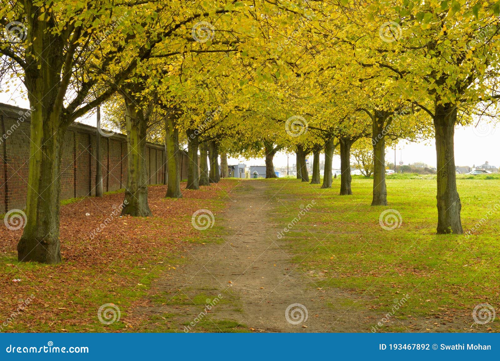 Pathway in a park stock photo. Image of environment - 193467892