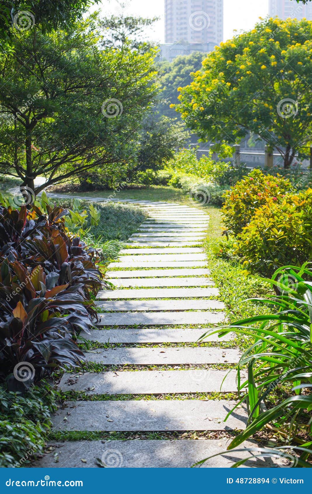 Pathway In The Park Stock Photography | CartoonDealer.com #48728894