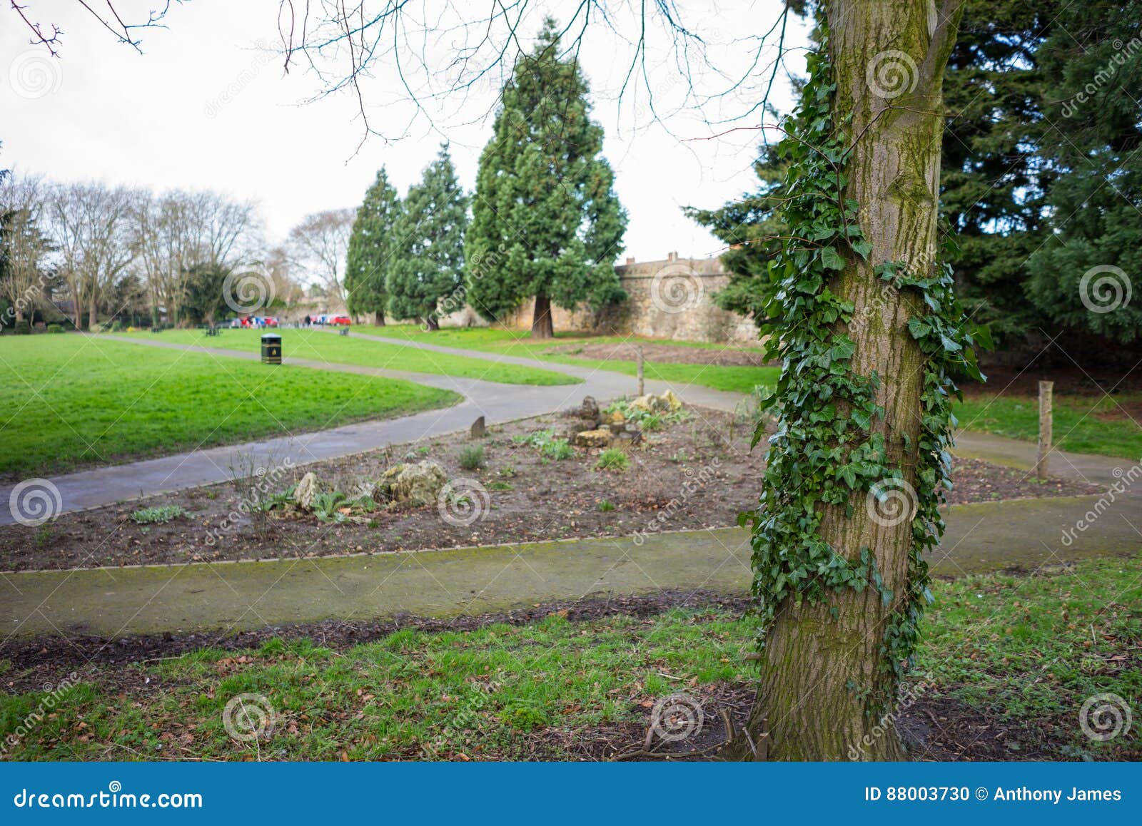 Pathway in a park stock photo. Image of field, landscape - 88003730